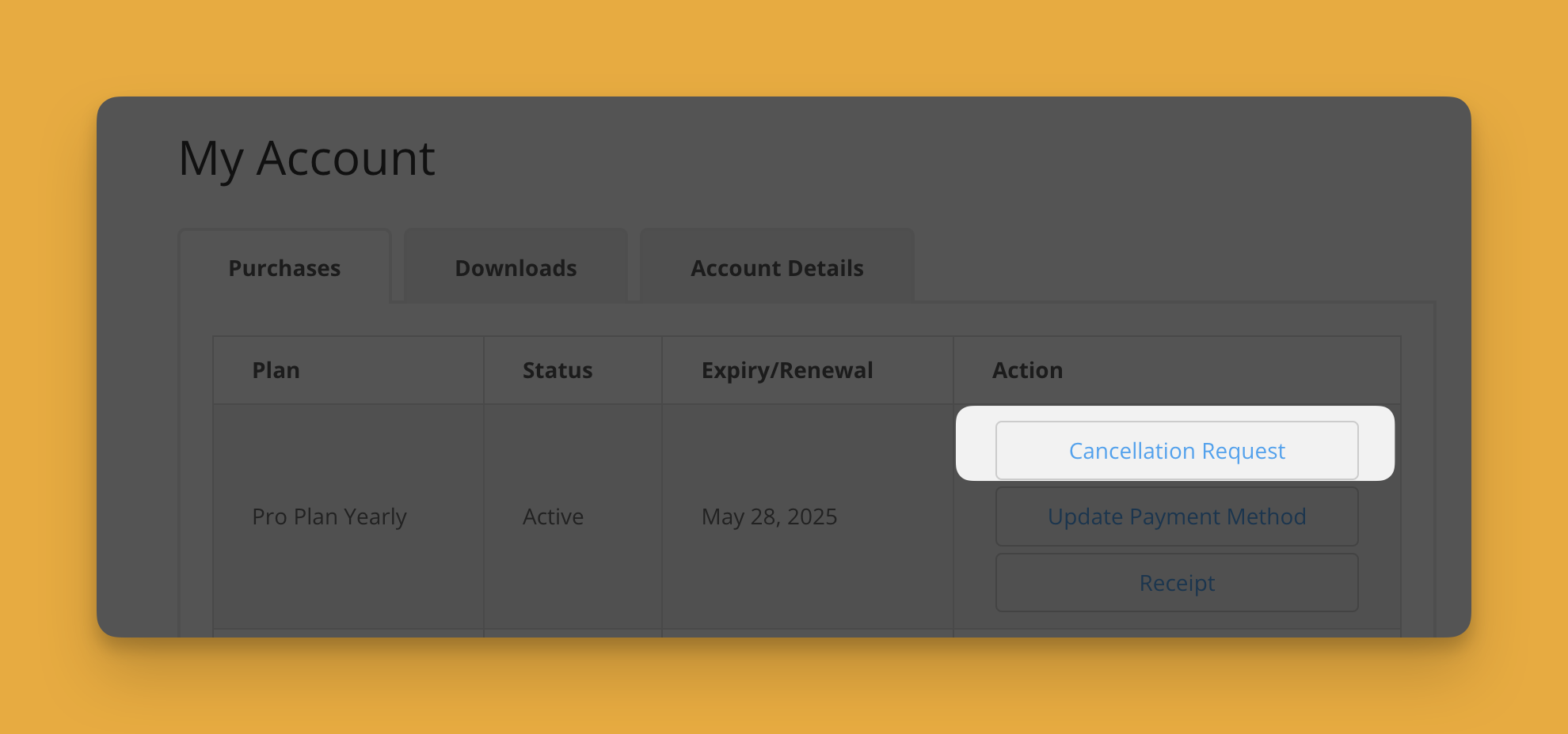 Add a Custom Payment Action — HandyPlugins